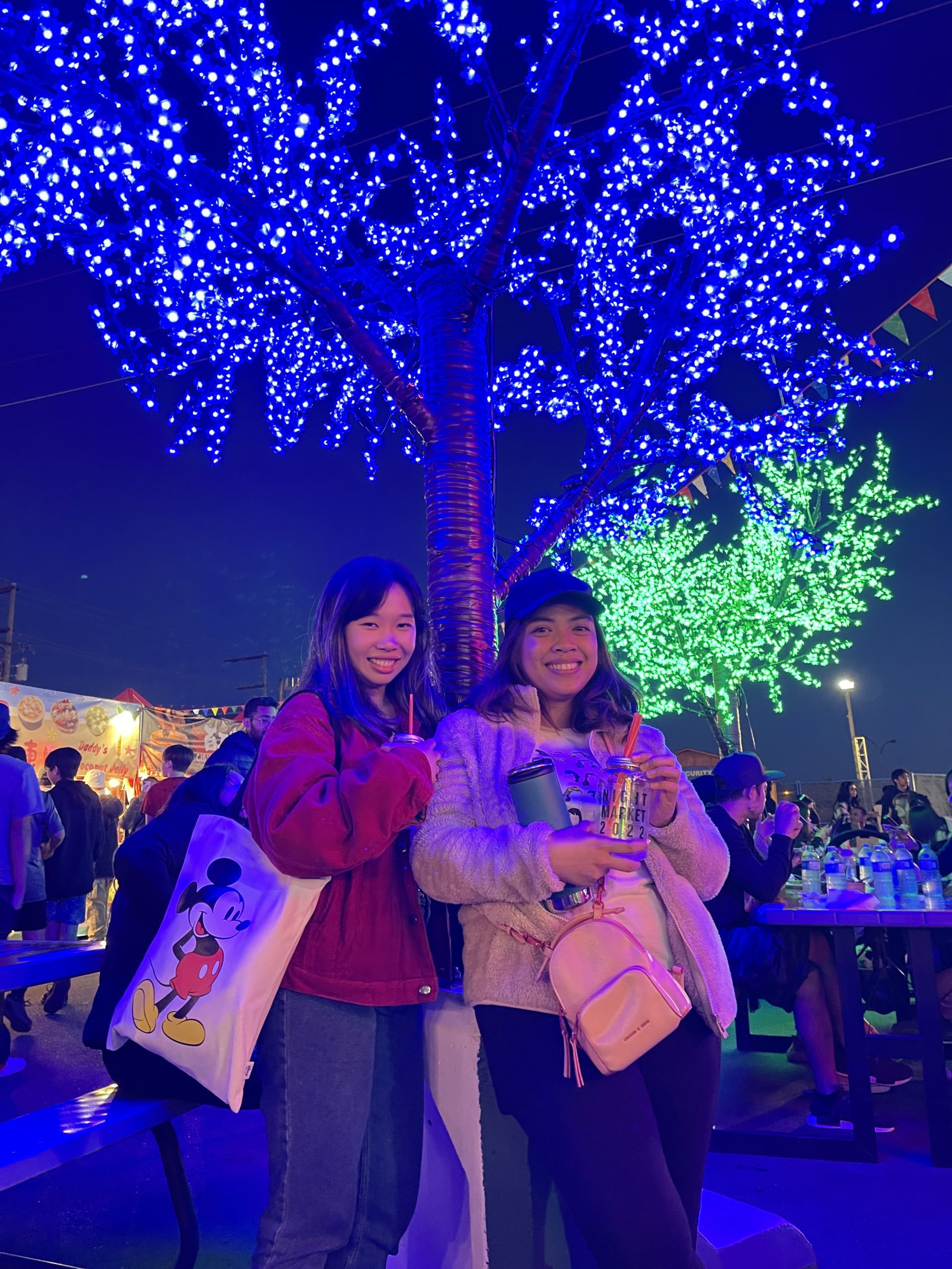 About Us | Specialized Education | Stenberg College